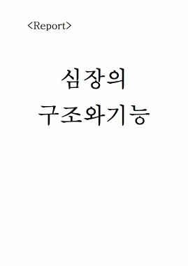 심장의 구조와 기능-1페이지