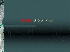 SD1조 SPINE 구조시스템-1페이지