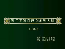 막 구조에 대한 이해와 사례-1페이지