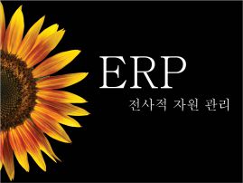 ERP 파워포인트 -1페이지