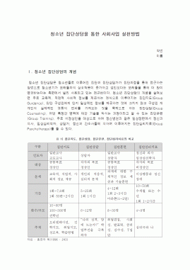 청소년집단상담을 통한 사회사업 실천방법-1페이지