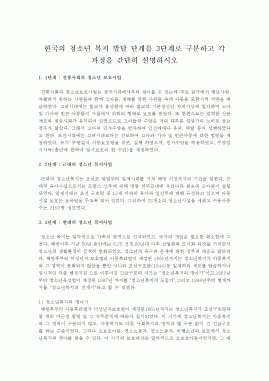 청소년 복지론 한국의 청소년 복지발달단계를 3단계로 구분하고 각 과정을 간단히 설명하시오-1페이지