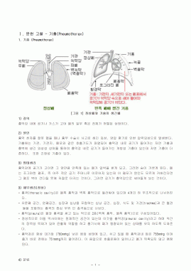 기흉 문헌고찰-1페이지