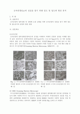 Cu분말 입도분석-1페이지