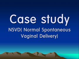 모성 분만실 실습 case study (Case study NSVD ( Normal Spontaneous Vaginal Delivery))-1페이지