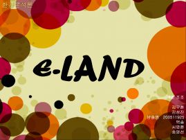 이랜드(E-LAND) 사례발표-1페이지