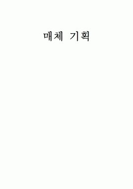 매체기획 방법-1페이지