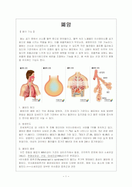 호흡기계(폐암질환레포트)-1페이지