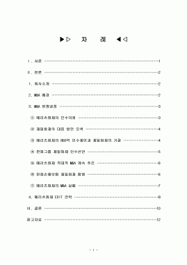 메리츠 화재의 M&A 실패사례-1페이지