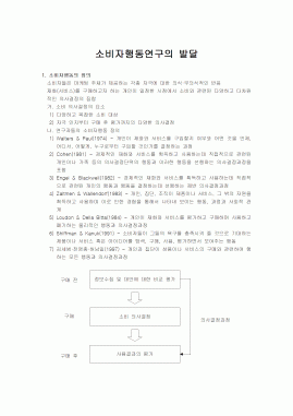 소비자행동연구의 발달(의료마케팅)-1페이지