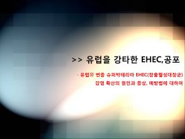 [장출혈성대장균]유럽은 지금 슈퍼박테리아 공포 - 장출혈성대장균(EHEC) 감염 확산의 원인과 증상, 피해 현황, 예방방법 등-1페이지