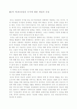 EU의 비유럽권 국가에 대한 개입과 간섭-1페이지