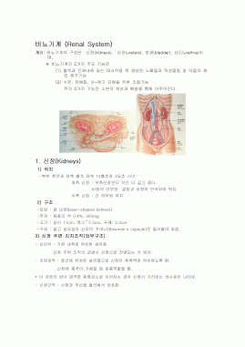 비뇨기계해부생리입니다. 많은 도움이 되시길 바랍니다. -1페이지