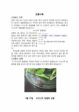 자원곤충학 사시나무잎벌레 (곤충사육)-1페이지