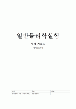 힘과_가속도_에비보고서(수정)-1페이지