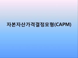 -자본자산가격결정모형(CAPM)-1페이지