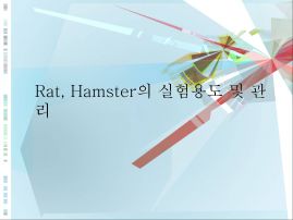 (실험동물) Rat, Hamster의 실험용도 및 관리-1페이지