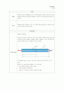 기계공학실험 보고서[비틀림]-1페이지