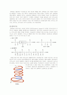 단백질의 구조(1차~4차)-1페이지