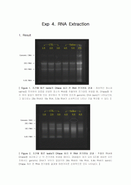 [동물생리학실험]4.RNA Extraction-1페이지