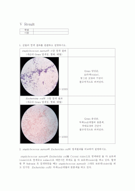 [미생물실험]3,4.미생물의 염색(그람,아포,음화,항산성)-1페이지