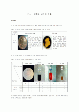 [세균학실험]1.식중독세균의검출-1페이지