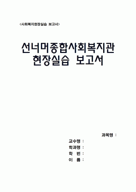 [완성 사회복지 현장실습] 선너머종합사회복지관 현장실습 보고서-1페이지