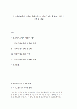 청소년지도사의 역할과 과제) 청소년 지도사 개념과 유형, 전문성, 역할 및 자질-1페이지