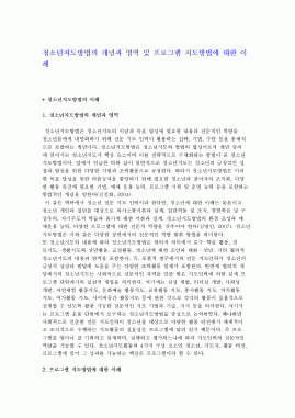 청소년지도방법의 개념과 영역 및 프로그램 지도방법에 대한 이해-1페이지