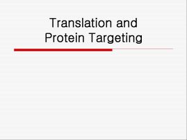 Translation and Protein Targeting-1페이지