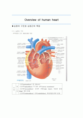 생리학 개론 (심장)-1페이지