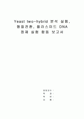 Yeast two-hybrid 분석 실험, 형질전환, 플라스미드 DNA 정제 실험 합동 보고서-1페이지