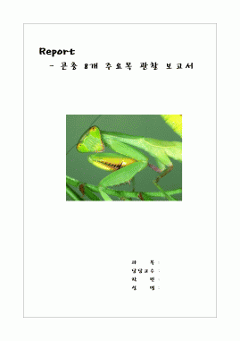 곤충 8개 주요목 관찰 보고서-1페이지