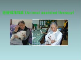 동물매개치료 (Animal assisted therapy)-1페이지