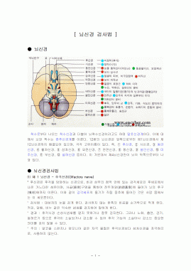 [성간]뇌신경 검사법-1페이지