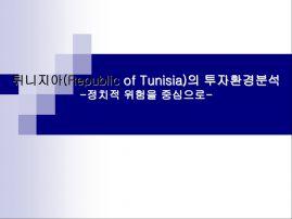 튀니지아 Republic of Tunisia)의 투자환경분석-1페이지