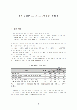 인력수급불일치(job mismatch)의 원인과 해결방안-1페이지