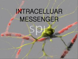 INTRACELLUAR MESSENGE-1페이지