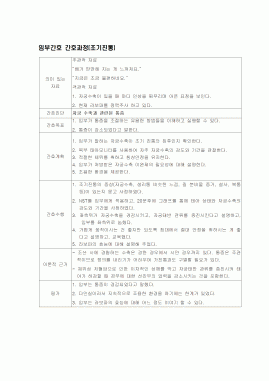 임부,산부,산모 간호과정-1페이지