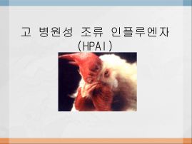 고 병원성 조류 인플루엔자 (HPAI)-1페이지