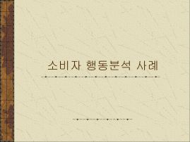 [조사/분석] 소비자 행동분석 -1페이지