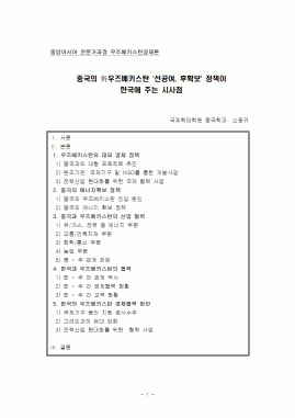 중국의 對우즈베키스탄 경제협력정책과 한국에 주는 시사점-1페이지