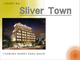 사업계획서발표_Sliver Town-1페이지