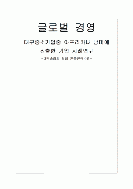 글로벌경영_대구중소기업중 아프리카나 남미에 진출한 기업 사례연구-1페이지