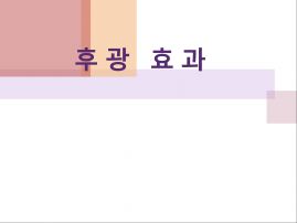 후광효과에 대하여-1페이지