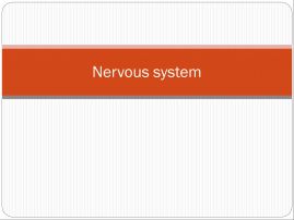 Nervous system-1페이지