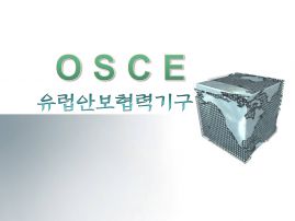 OSCE 유럽안보협력기구-1페이지