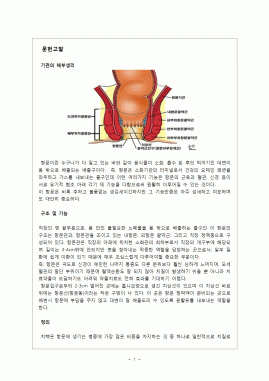 hemorrhoid (치질)-1페이지