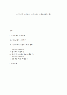 시민단체와 자원봉사, 시민단체의 자원봉사활동 영역-1페이지