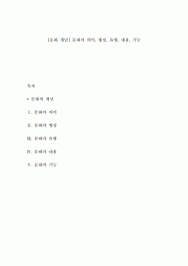 [문화 개념] 문화의 의미, 형성, 유형, 내용, 기능-1페이지